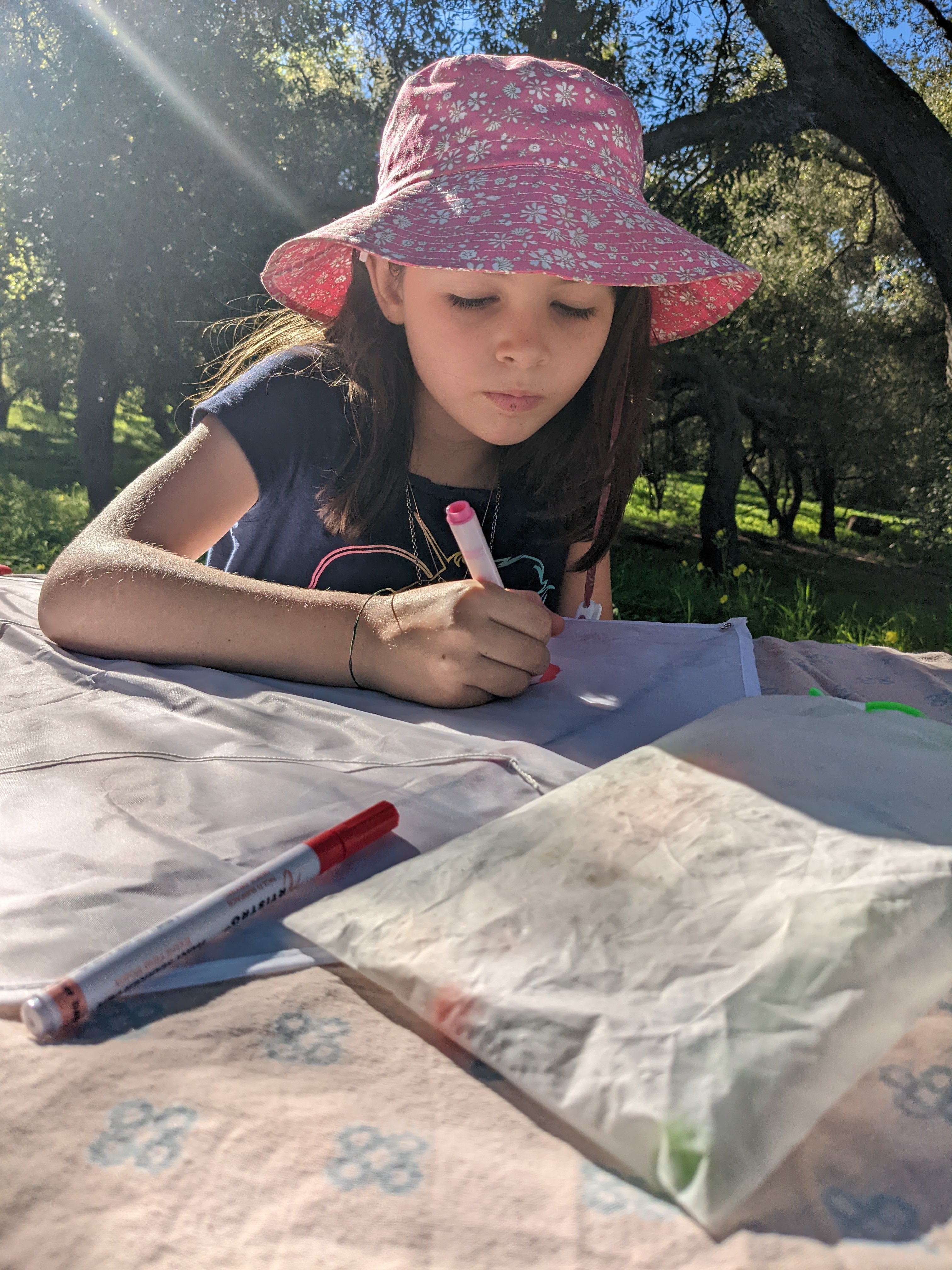 STEAM Activity Kits for Kids K-8. Botany and Geology Class in a Box ...