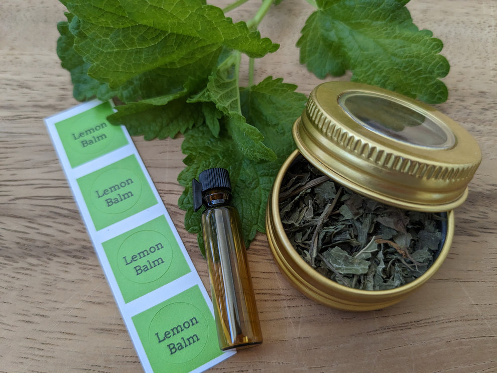Lemon Balm and Glass Gardens – Plant Magic Club