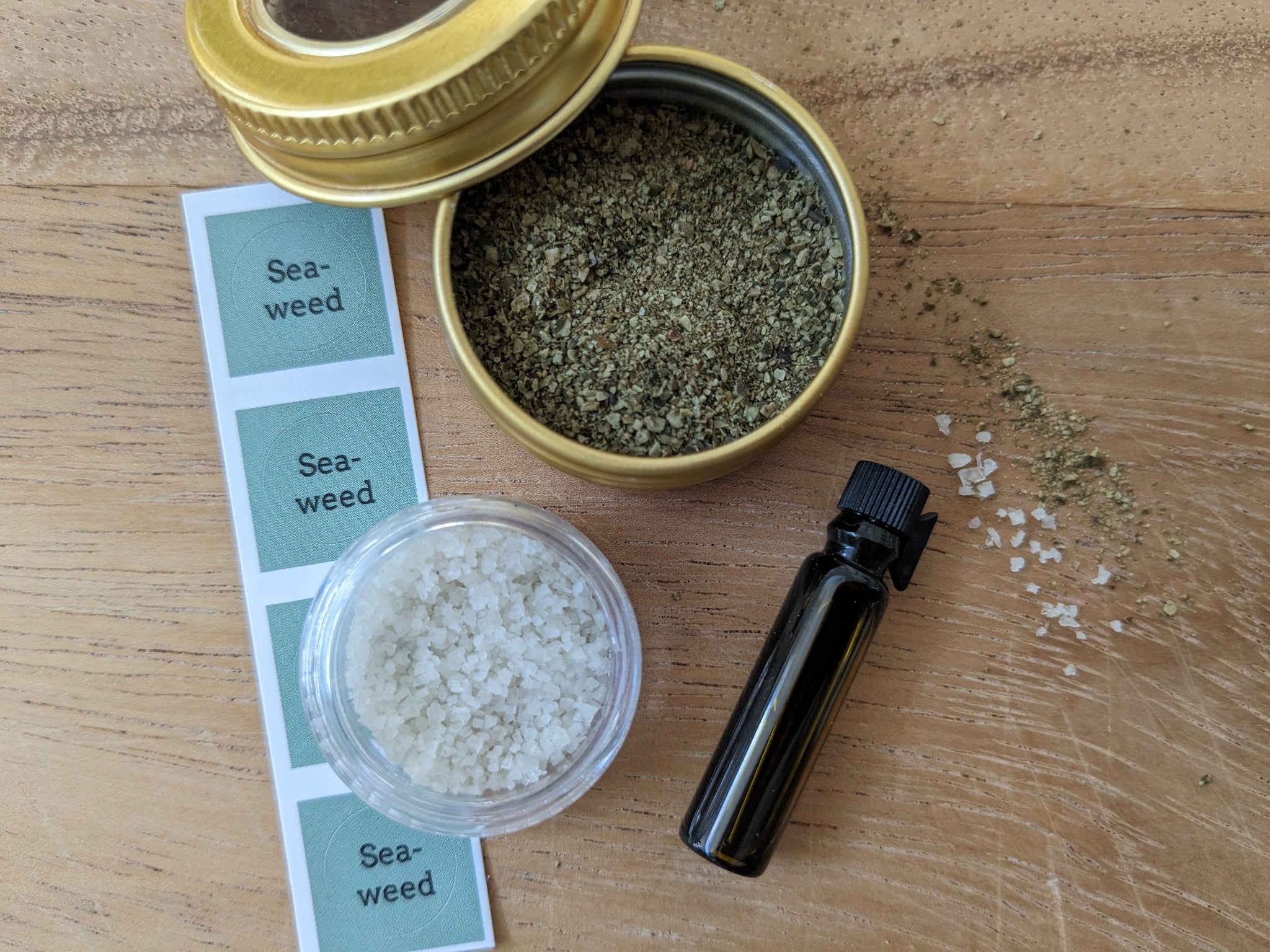 Seaweed and Sea Life – Plant Magic Club